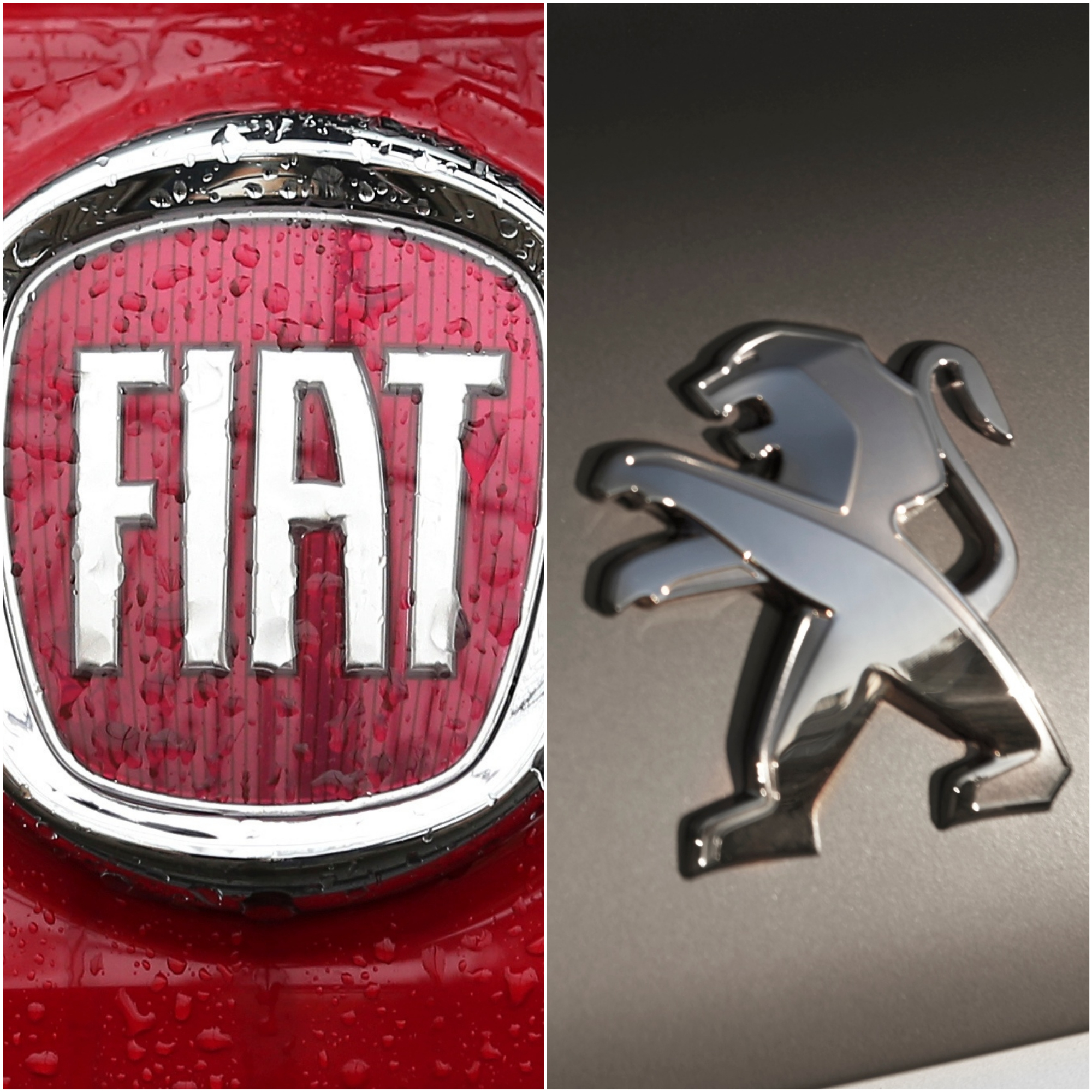 Chrysler Fiat Logo New Fiat And Chrysler Logo Revealed!