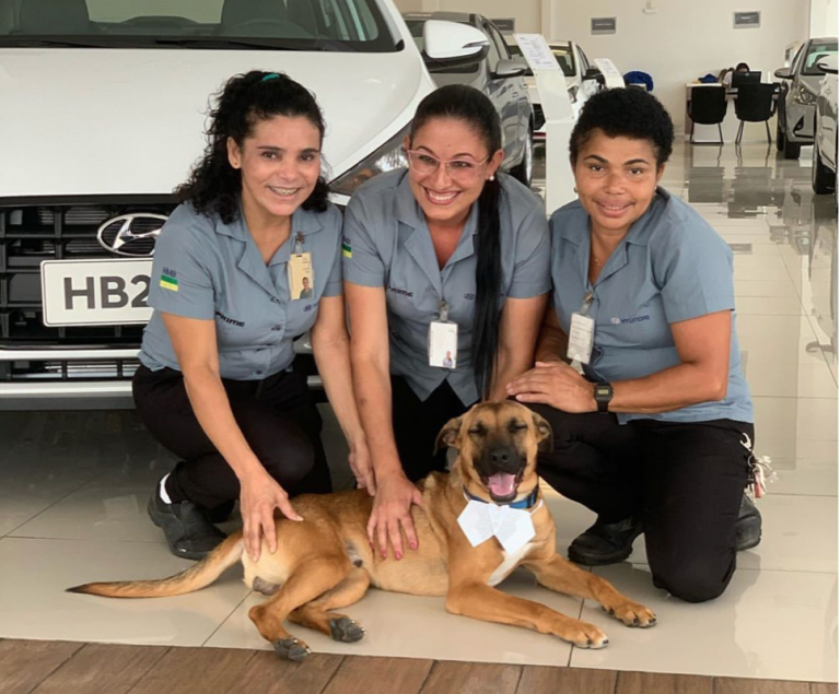 Tucson Prime lands the paw-fect job after being adopted by Hyundai ...