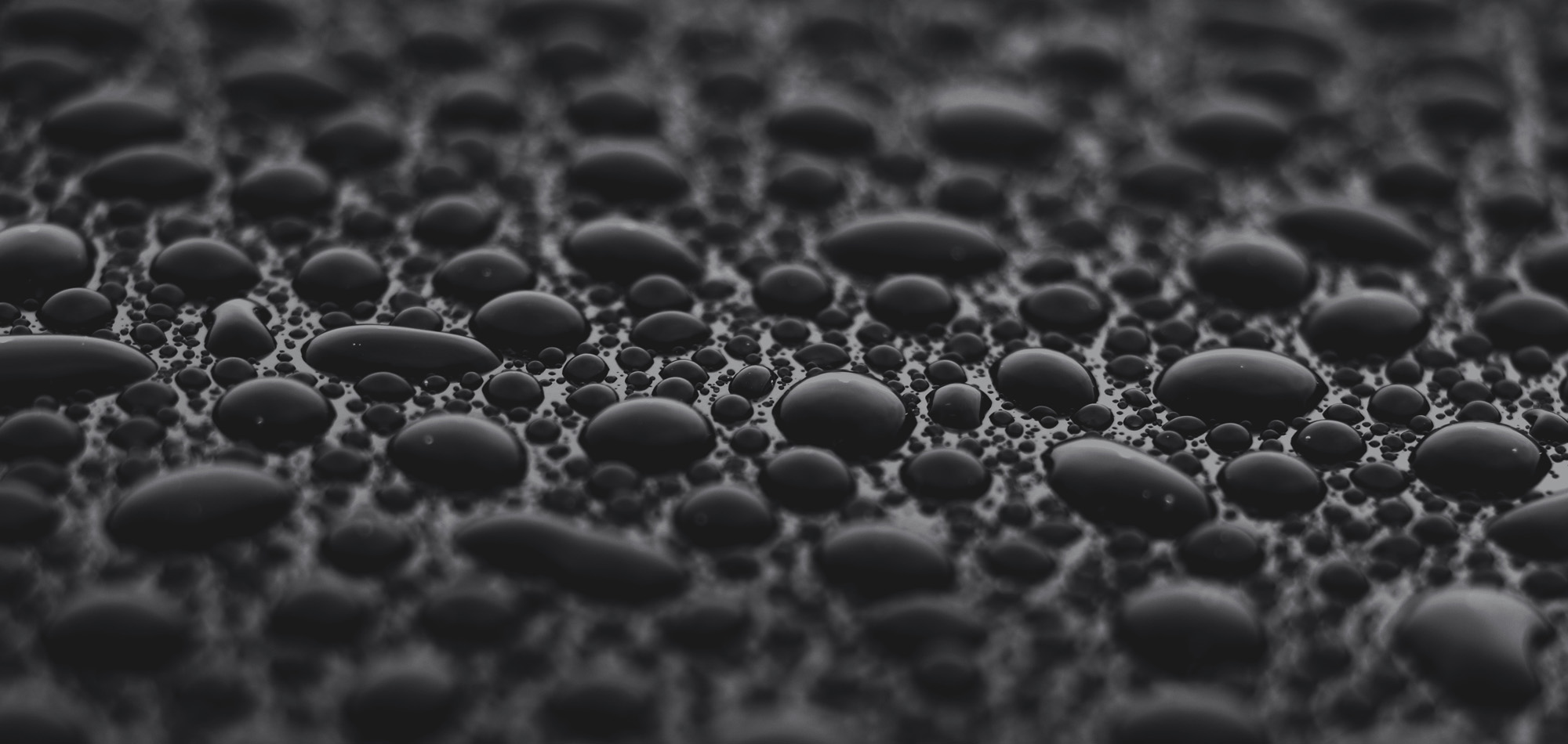 New GardX International and Renault Retail Group partnership to give ...