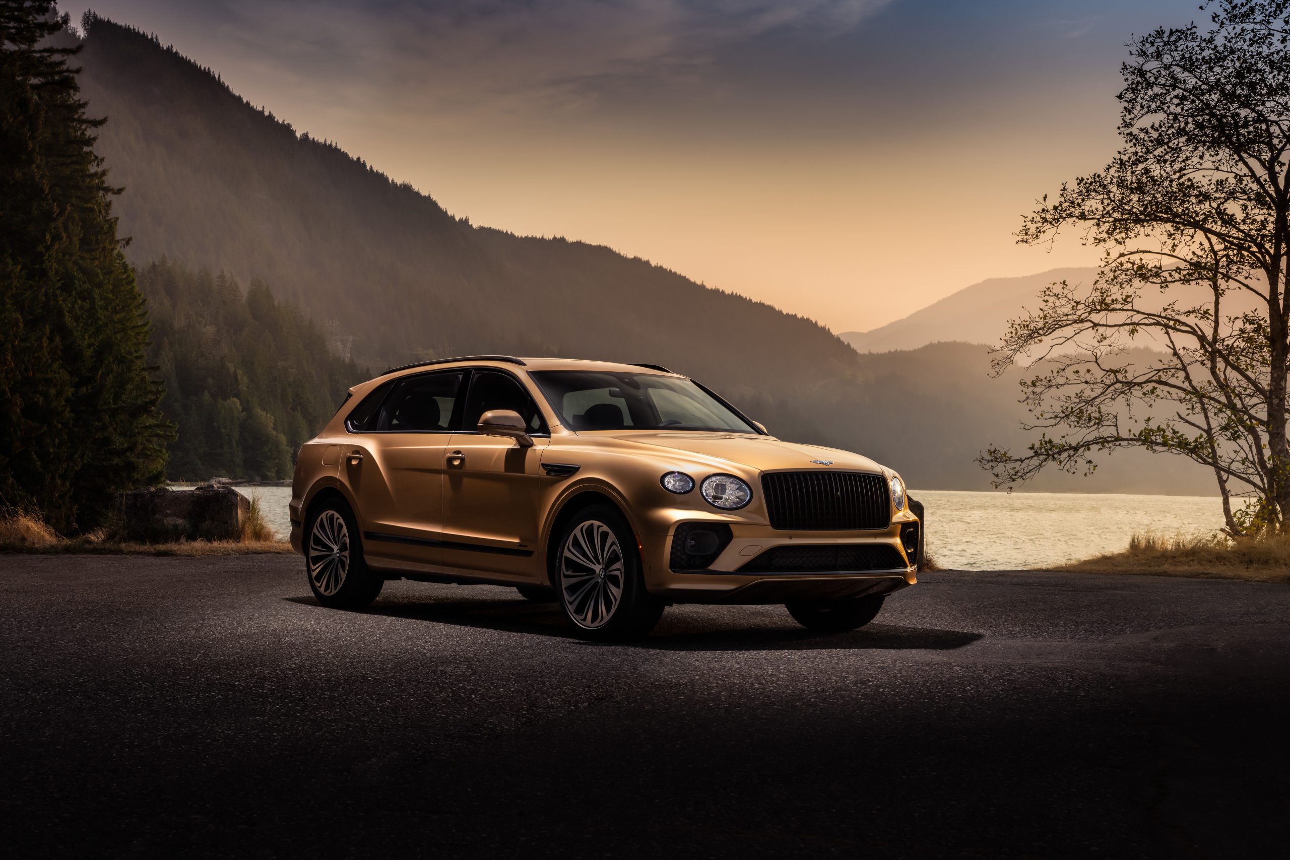 Bentley selling cars for an average of £189k as profit margins soar ...