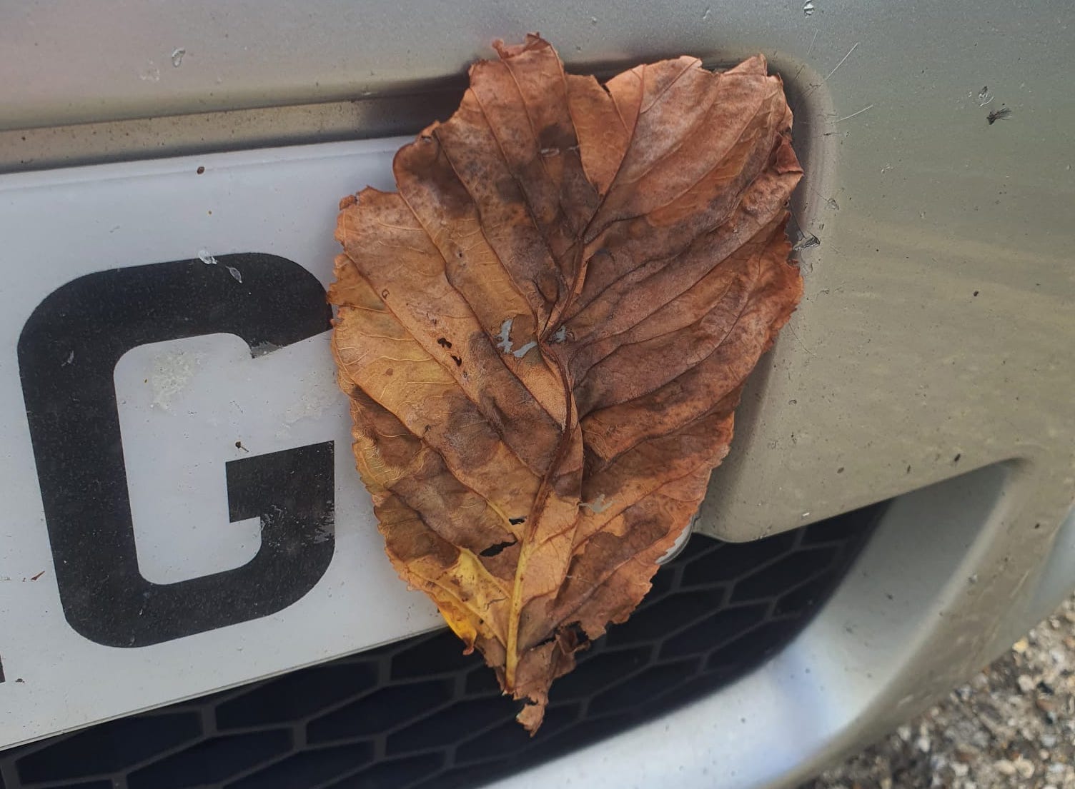 Oct 5: HS2 backlash from ex-PMs; Worst water firms revealed; Driver ...